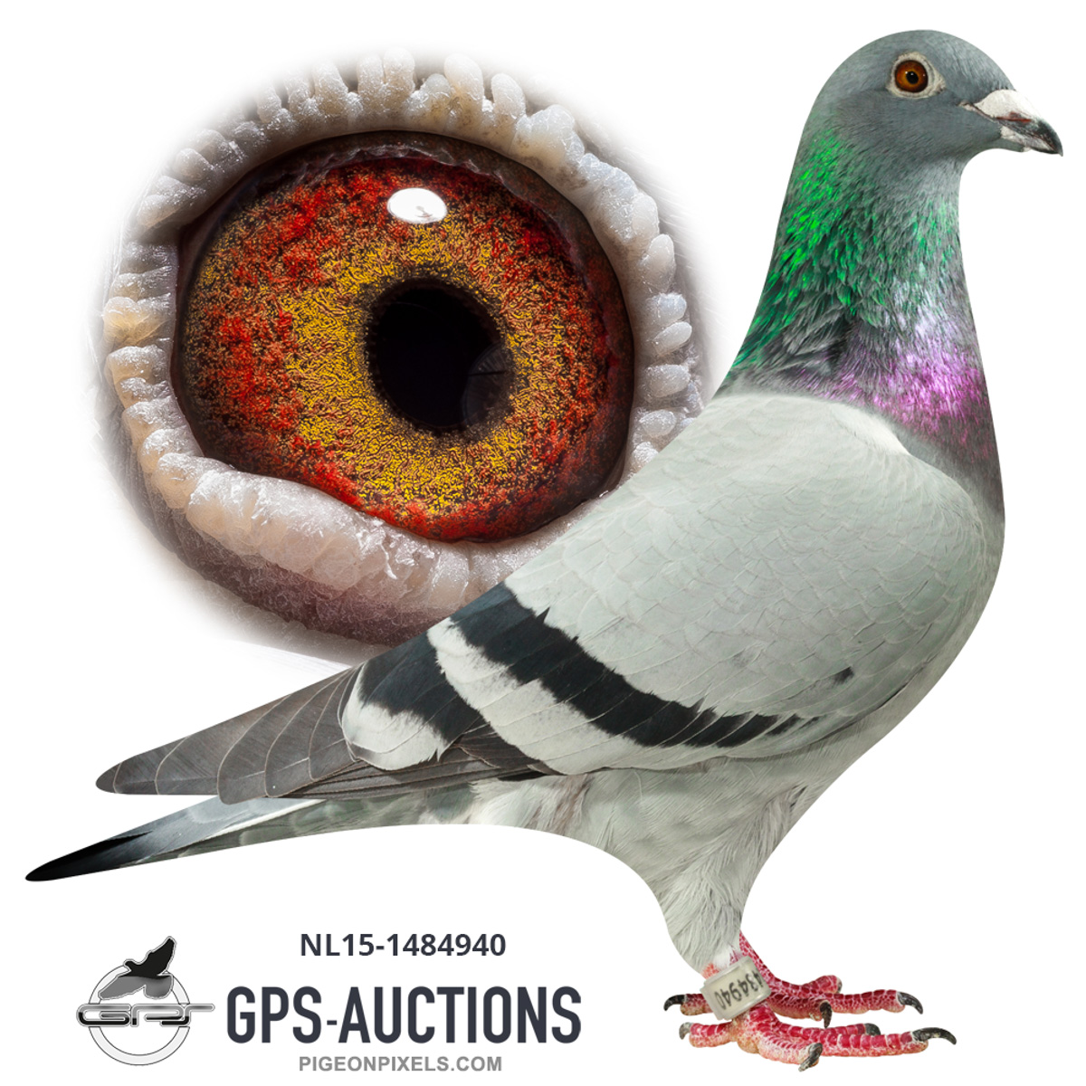 The Golden Special - GPS-Auctions