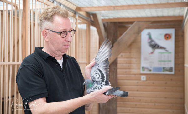 Gerards Superauktion Koopman ist jetzt online !!!!! - GPS-Auctions