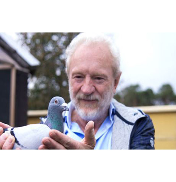 The Best of Leo Heremans - GPS-Auctions