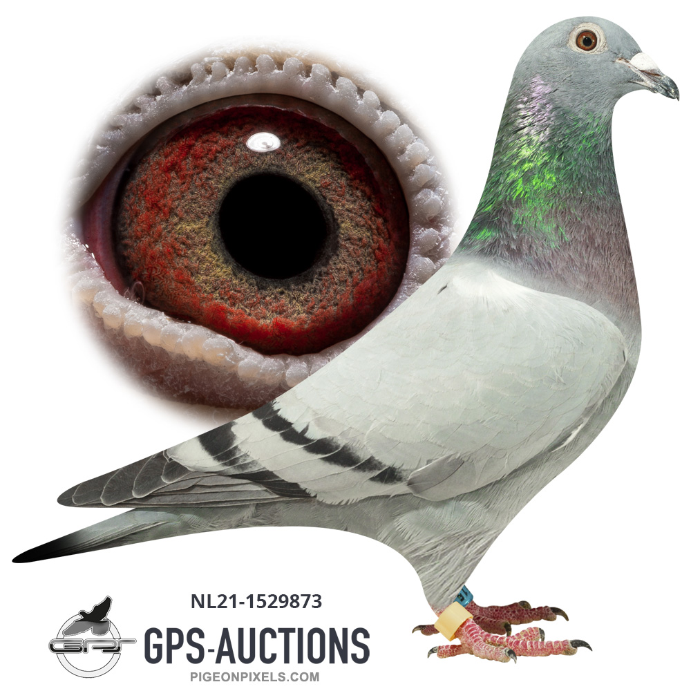 Johan de Vries - GPS-Auctions