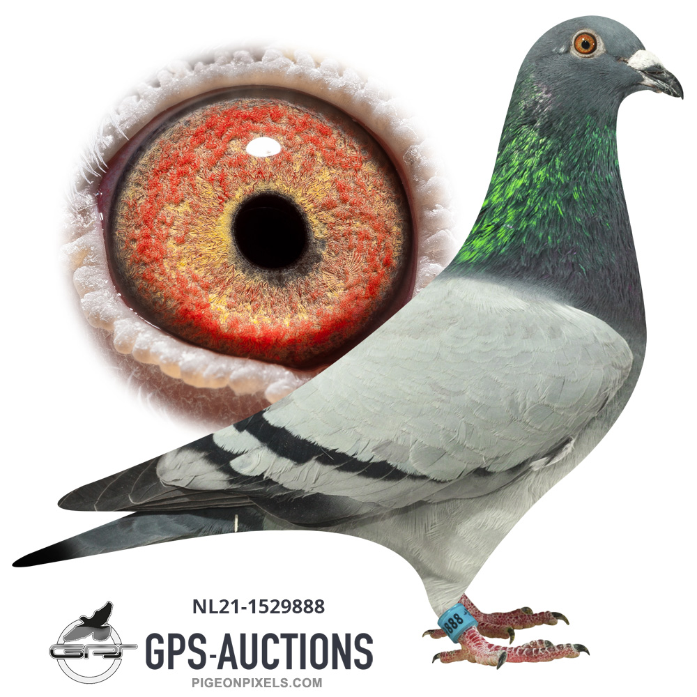 Johan de Vries - GPS-Auctions