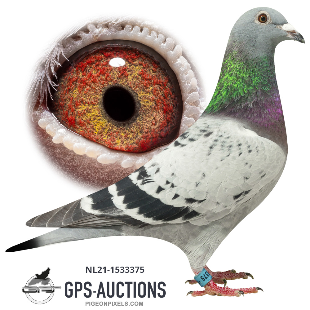 Johan de Vries - GPS-Auctions