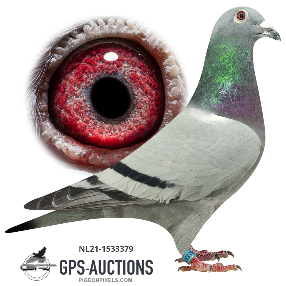 Johan de Vries - GPS-Auctions