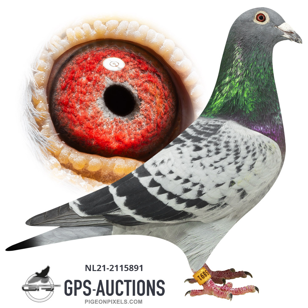 Comb. Heijblom & van Strien - GPS-Auctions