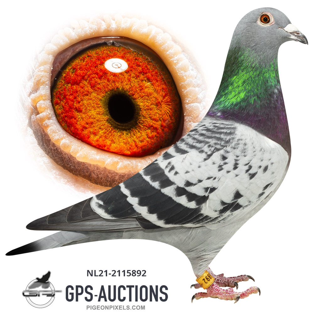 One Day Long Distance Collection - GPS-Auctions