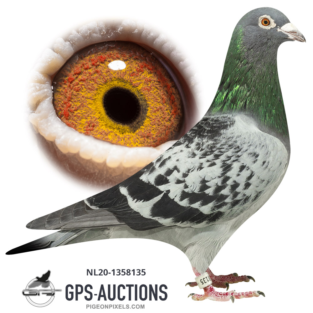 International Top Collection - GPS-Auctions