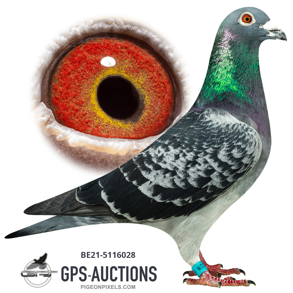 Olympic Station – R. & N. Afrasinei P.4 - GPS-Auctions