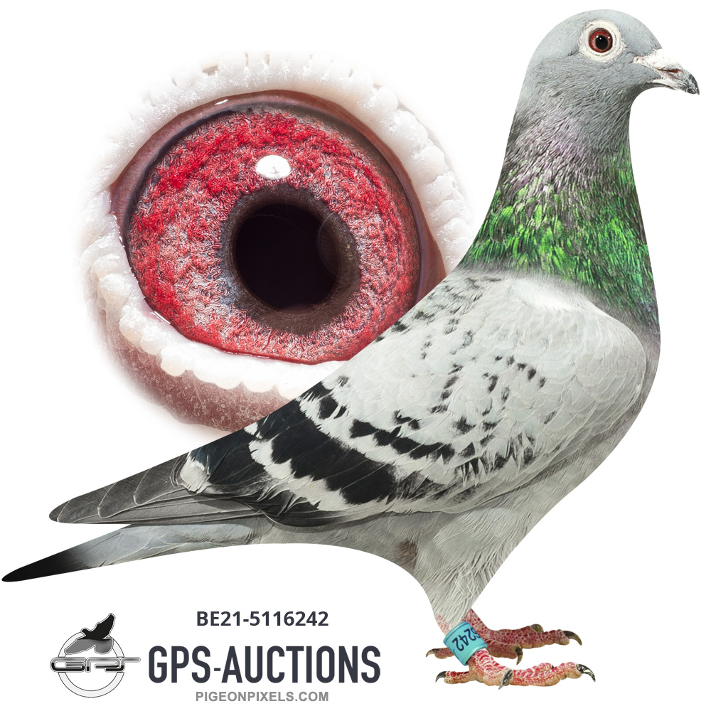 Olympic Station - R. & N. Afrasinei P.1 - GPS-Auctions