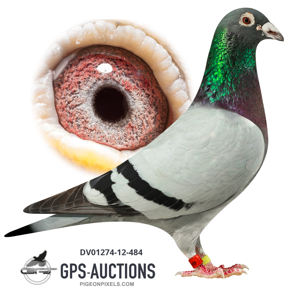 The Wolfgang Roeper Collection - GPS-Auctions