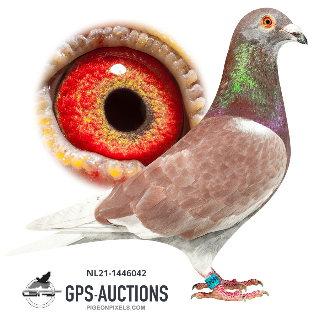 The Jens Aedtner / Hemstra Special P.2 - GPS-Auctions