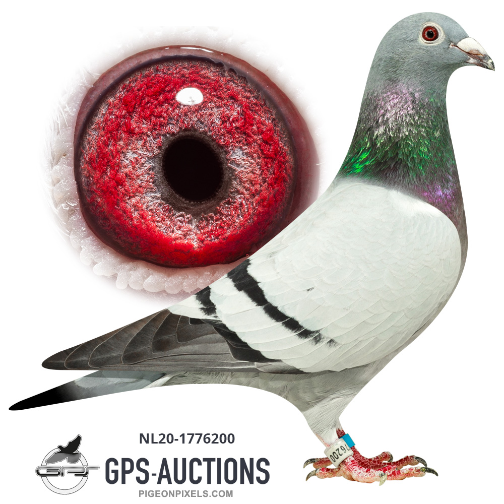 The Veenstra - Eijerkamp Special - GPS-Auctions