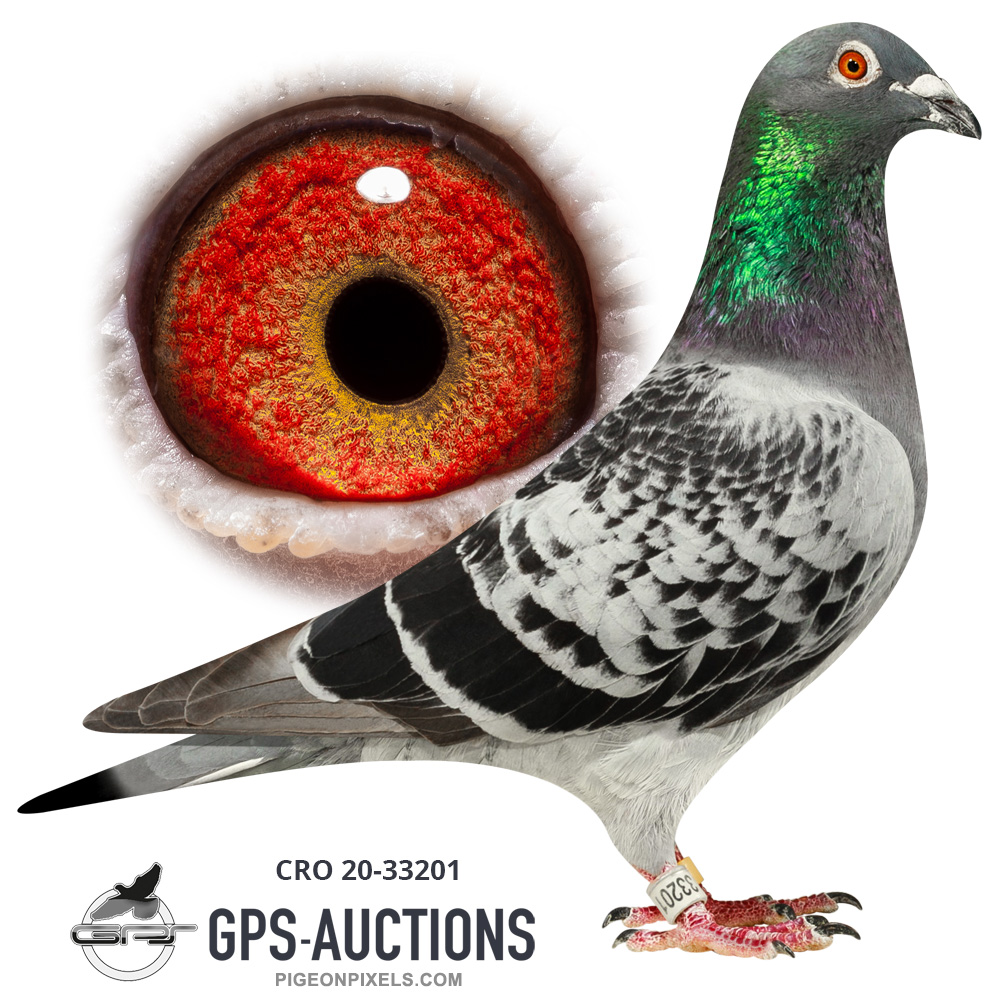 Big Winners Auction - GPS-Auctions