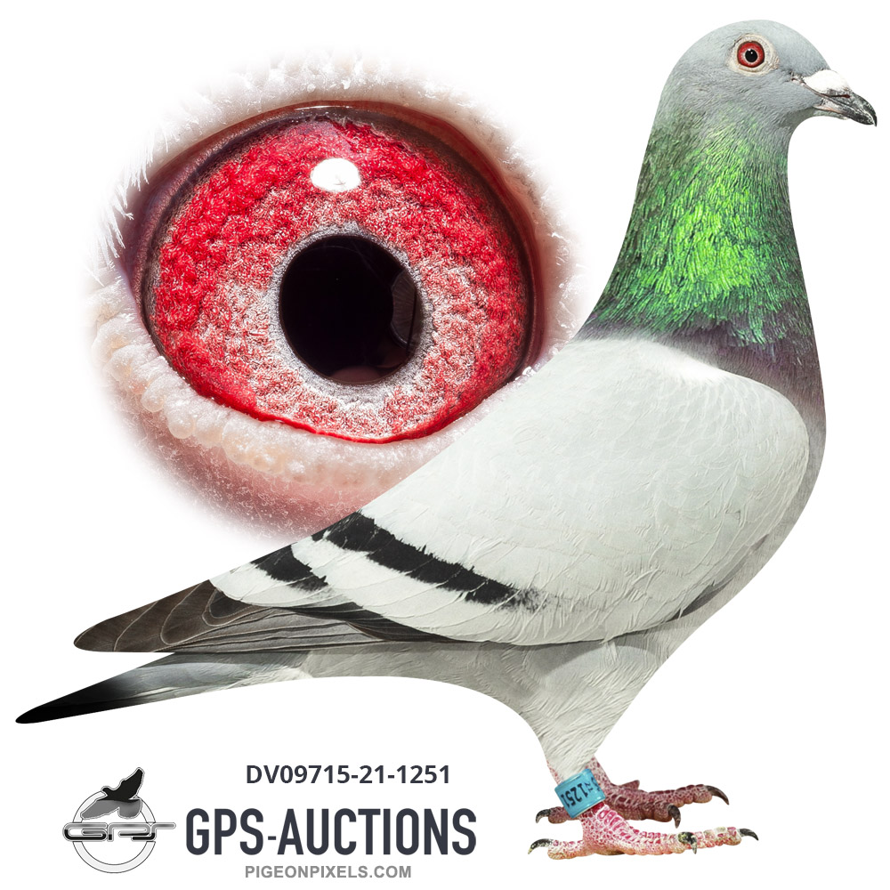 Reinhard & Ina Muhl Part 6 - GPS-Auctions