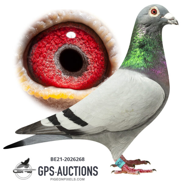 Yvan van den Bossche P. 1 - GPS-Auctions