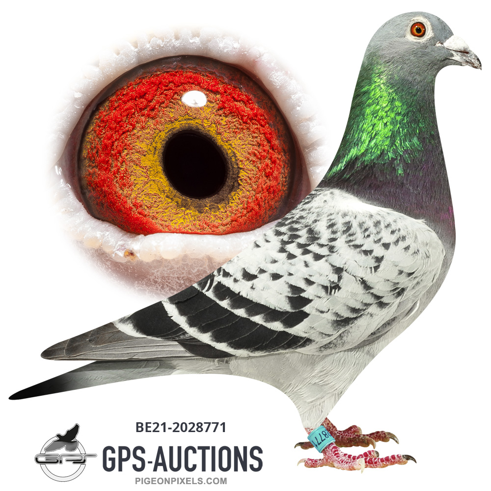 Yvan van den Bossche P. 1 - GPS-Auctions