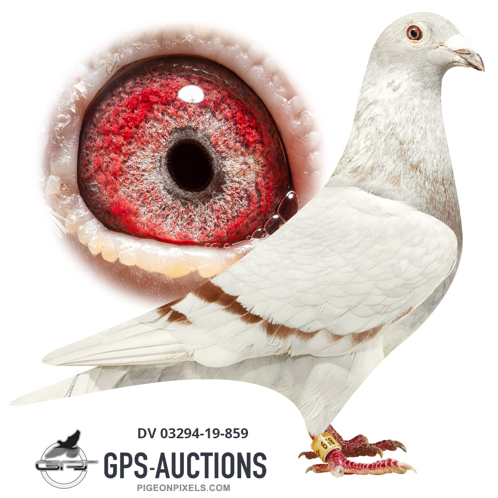 The Peter Rager Collection - GPS-Auctions