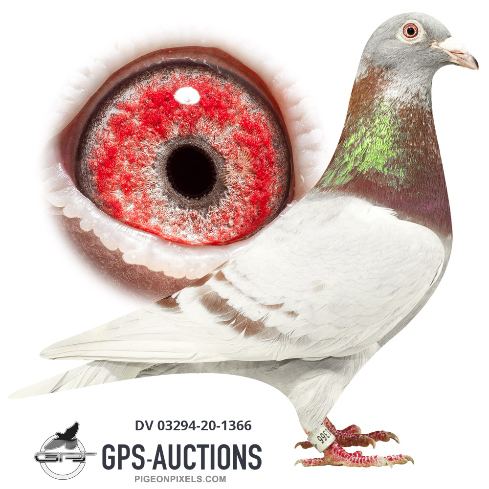 The Peter Rager Collection - GPS-Auctions