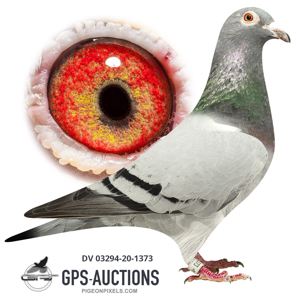 The Peter Rager Collection - GPS-Auctions