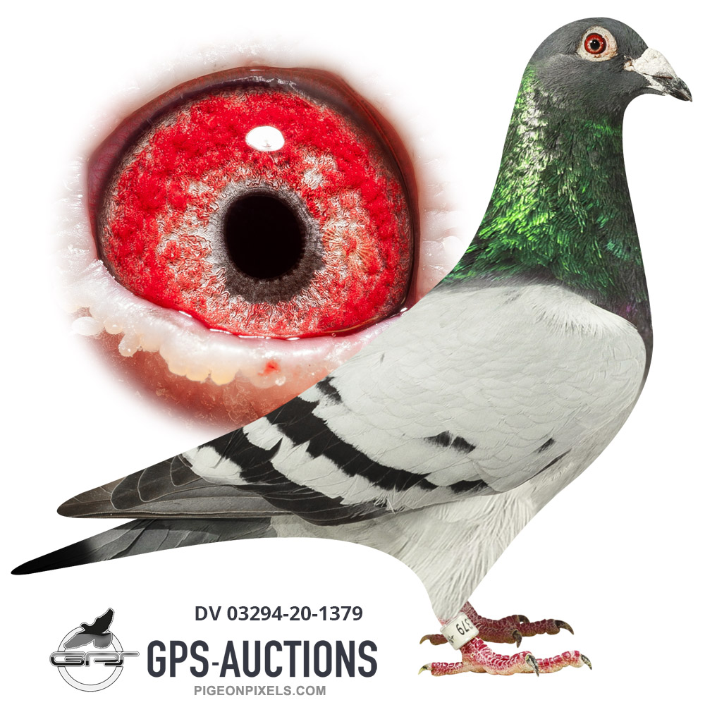 The Peter Rager Collection - GPS-Auctions