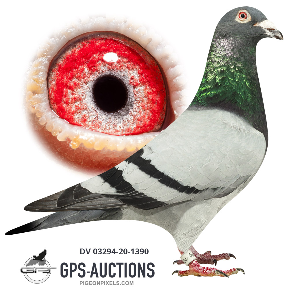The Peter Rager Collection - GPS-Auctions
