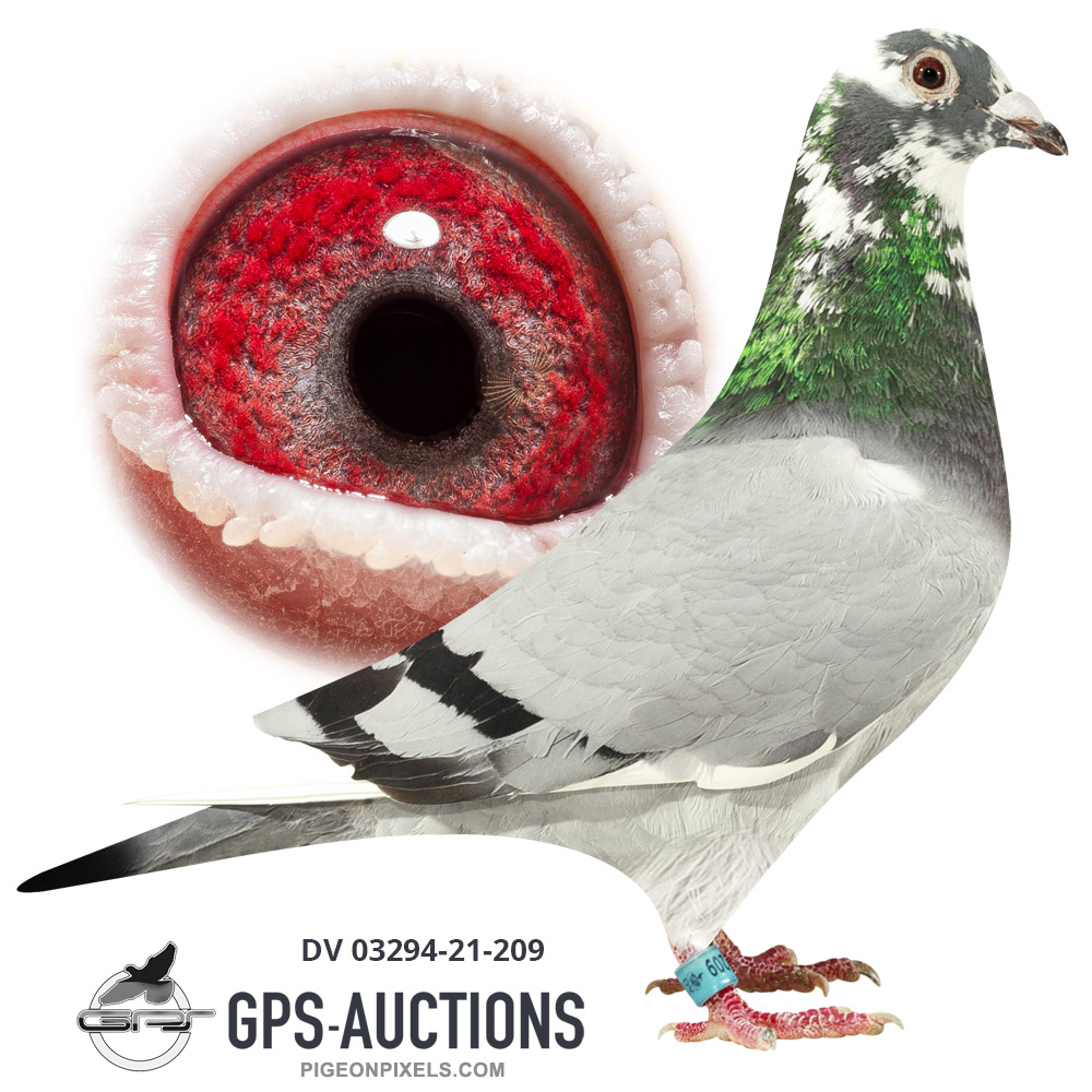 The Peter Rager Collection - GPS-Auctions
