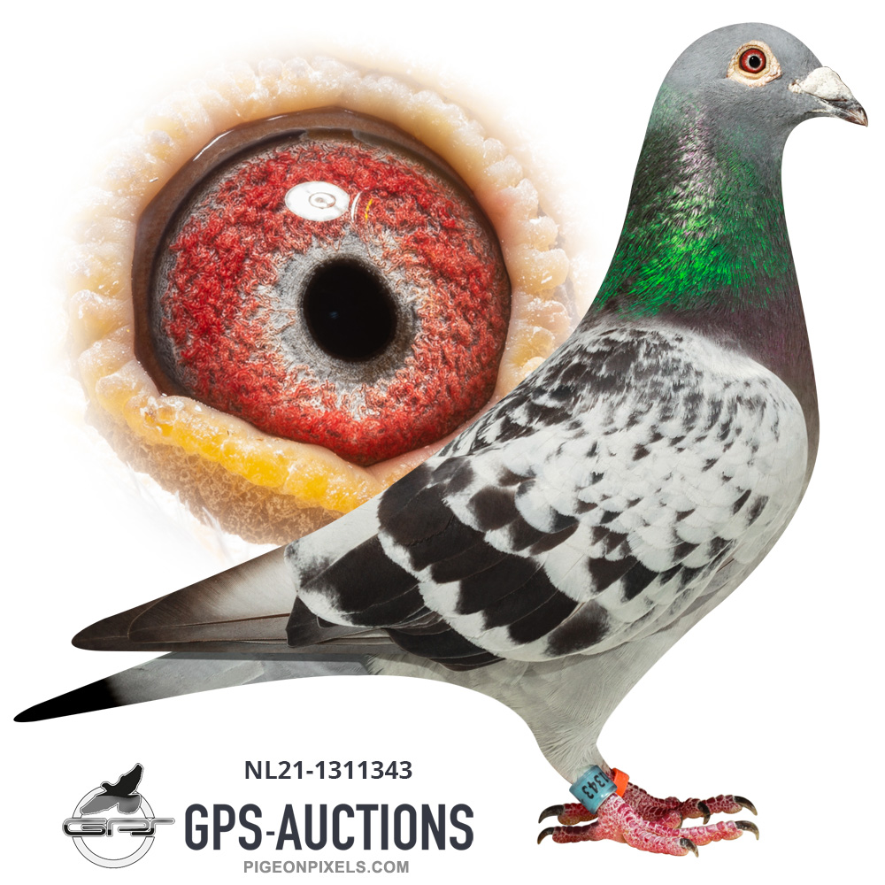 The Gebr. van Tor Jr. special - GPS-Auctions