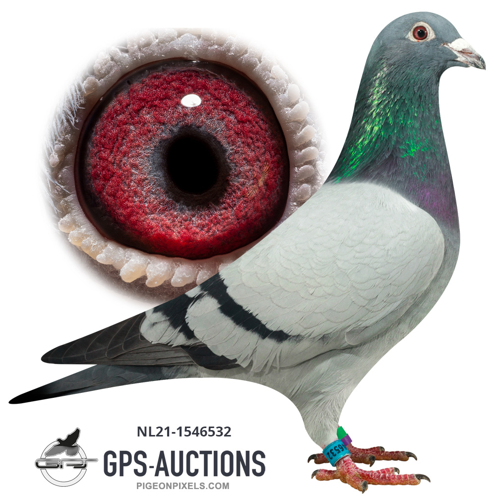 Total Auction Anton Ruitenberg Part 3 - GPS-Auctions