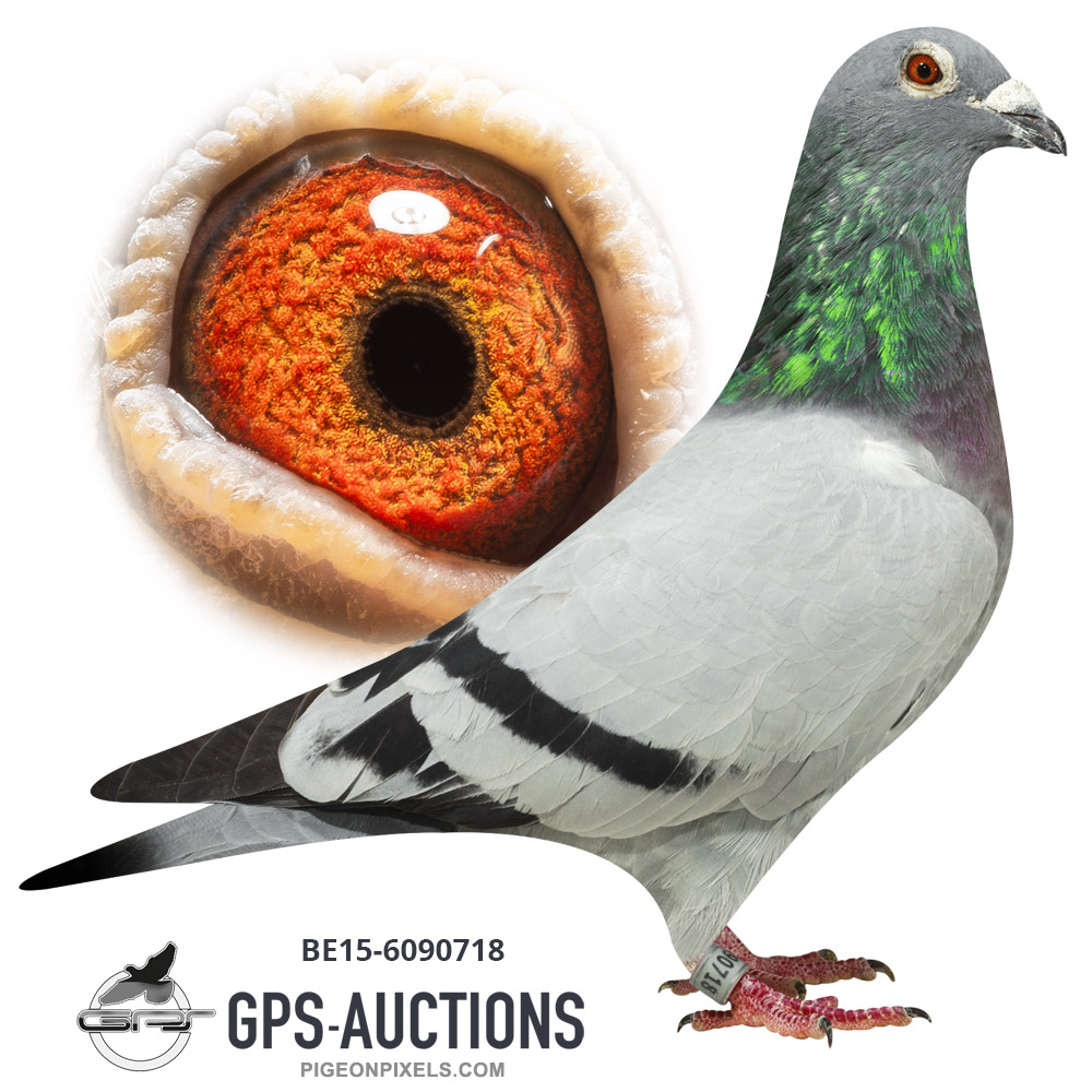 Marcel Wouters Special - GPS-Auctions