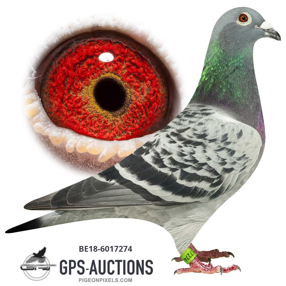 Danny van Dyck Collection - GPS-Auctions