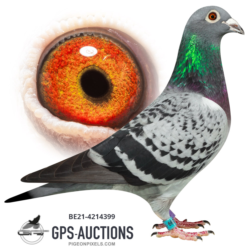 Noël Peiren Collection Part 1 - GPS-Auctions