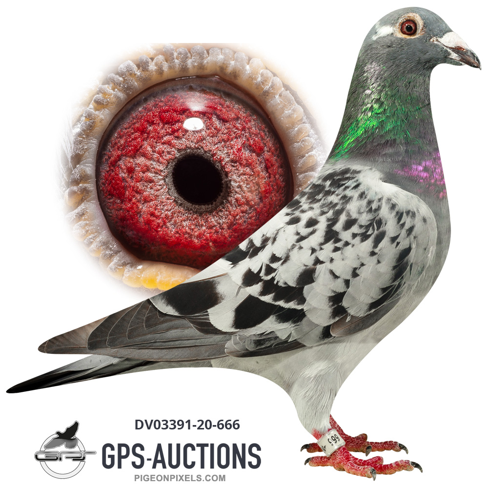 Andreas Moller P 2 Gps Auctions