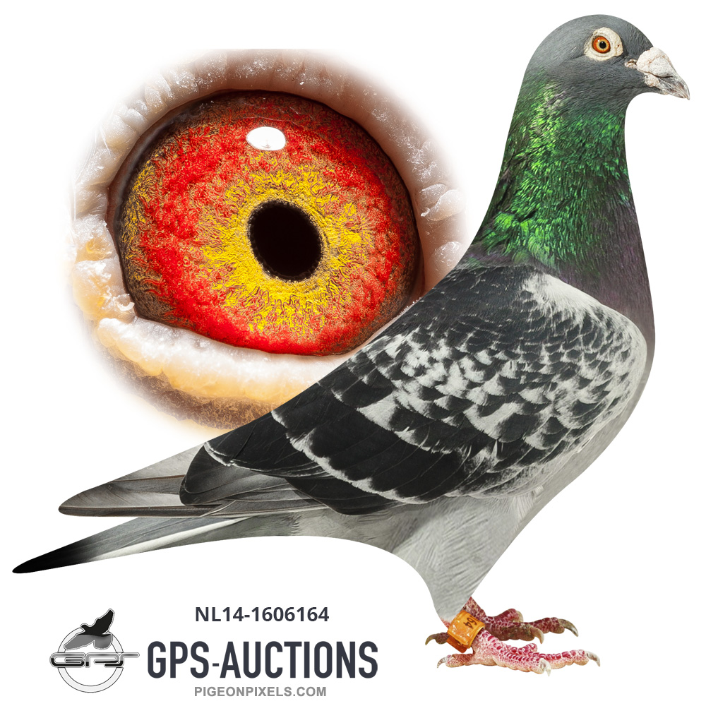 The October Top Collection - GPS-Auctions