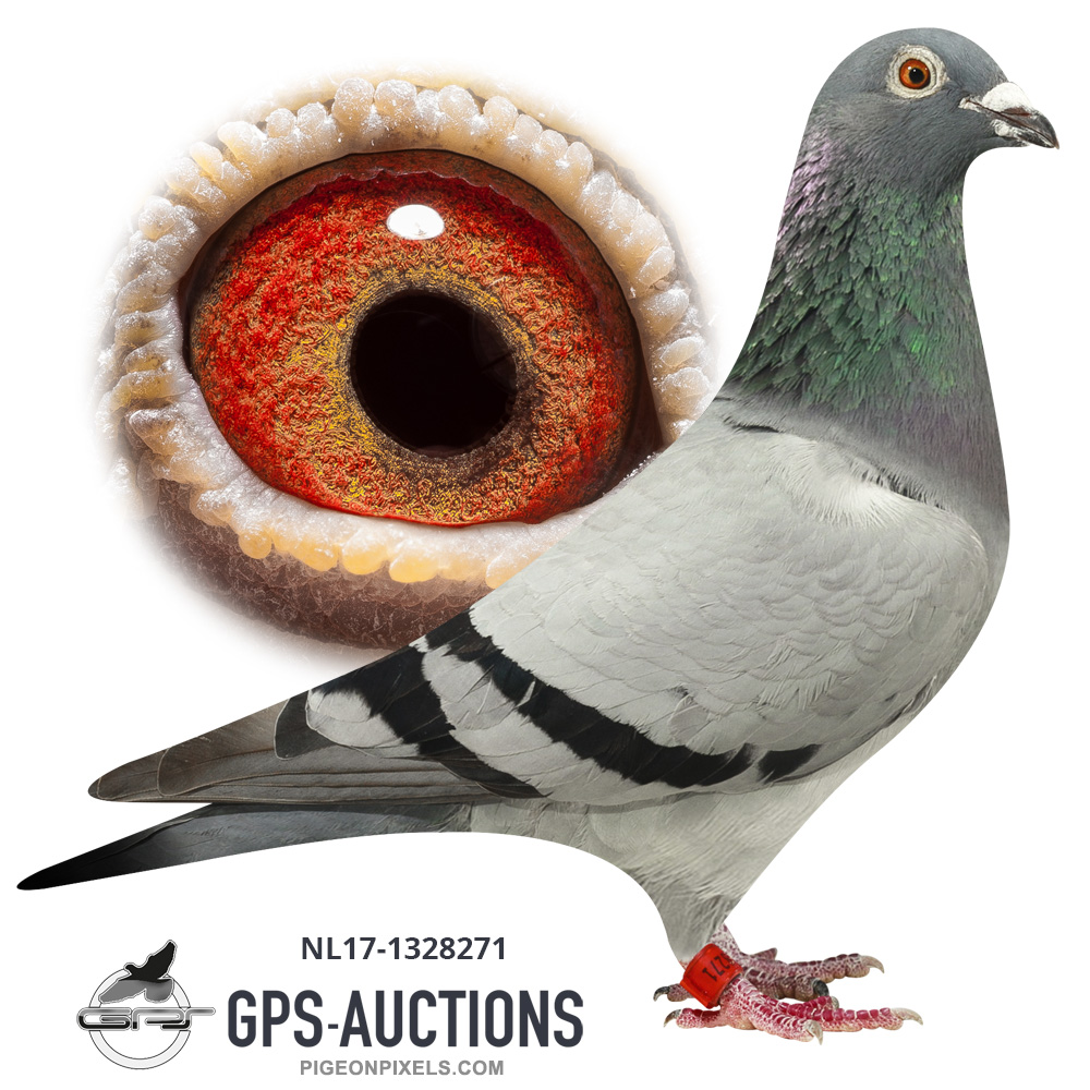 Adrian Stroo Part 1 - GPS-Auctions