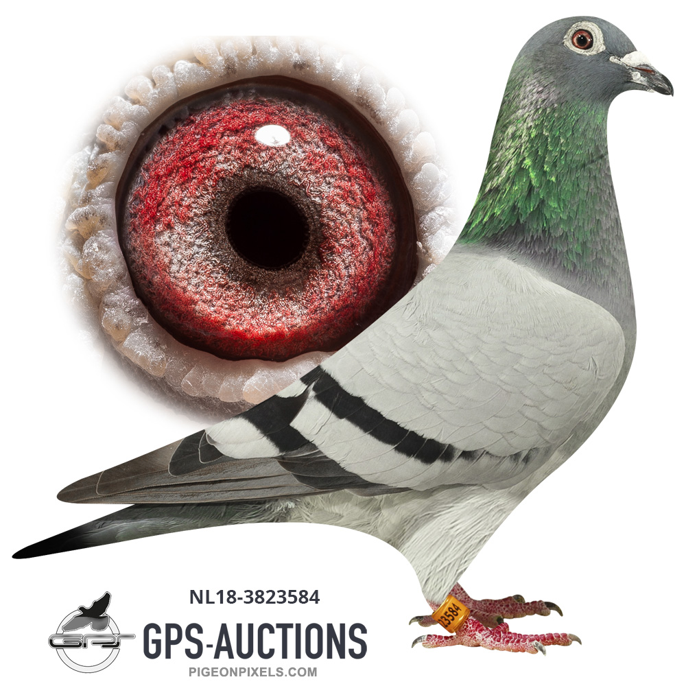 Adri Stroo Part 2 - GPS-Auctions