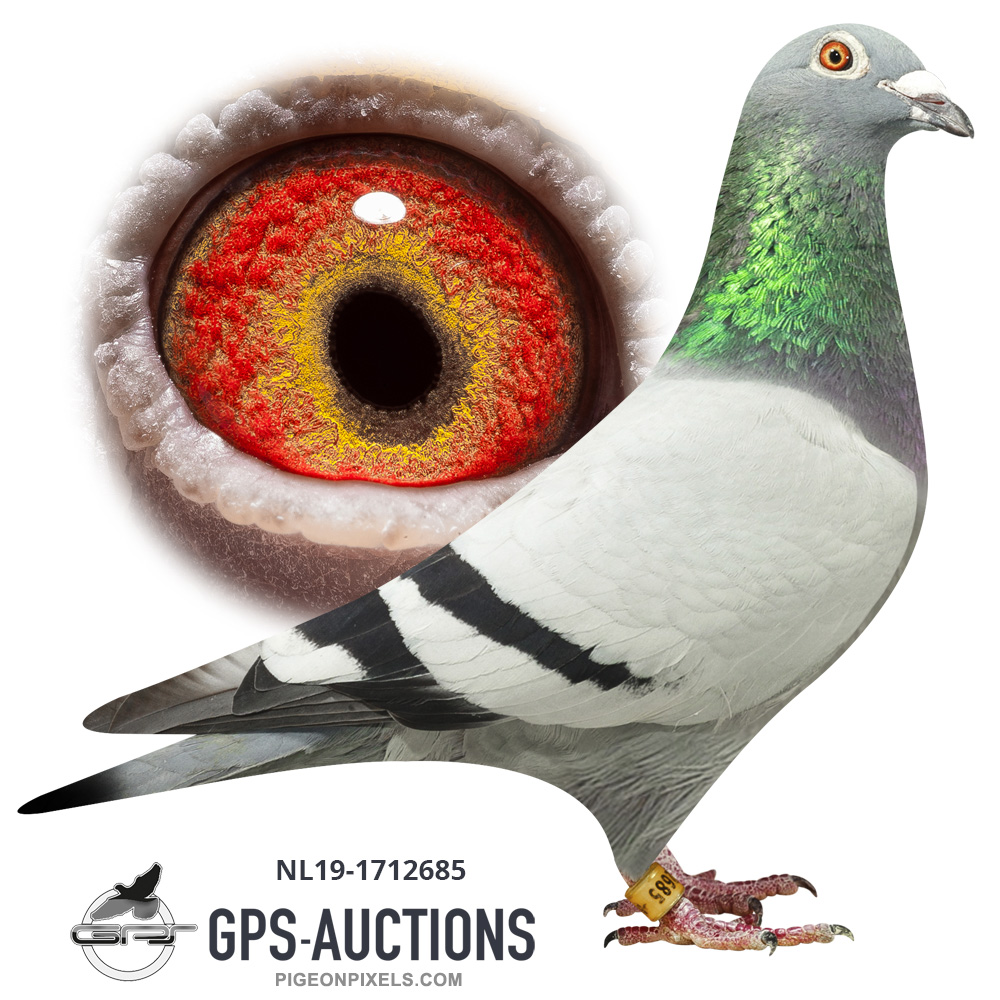 Adri Stroo Part 1 - GPS-Auctions