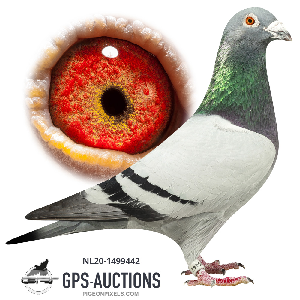 The October Top Collection - GPS-Auctions