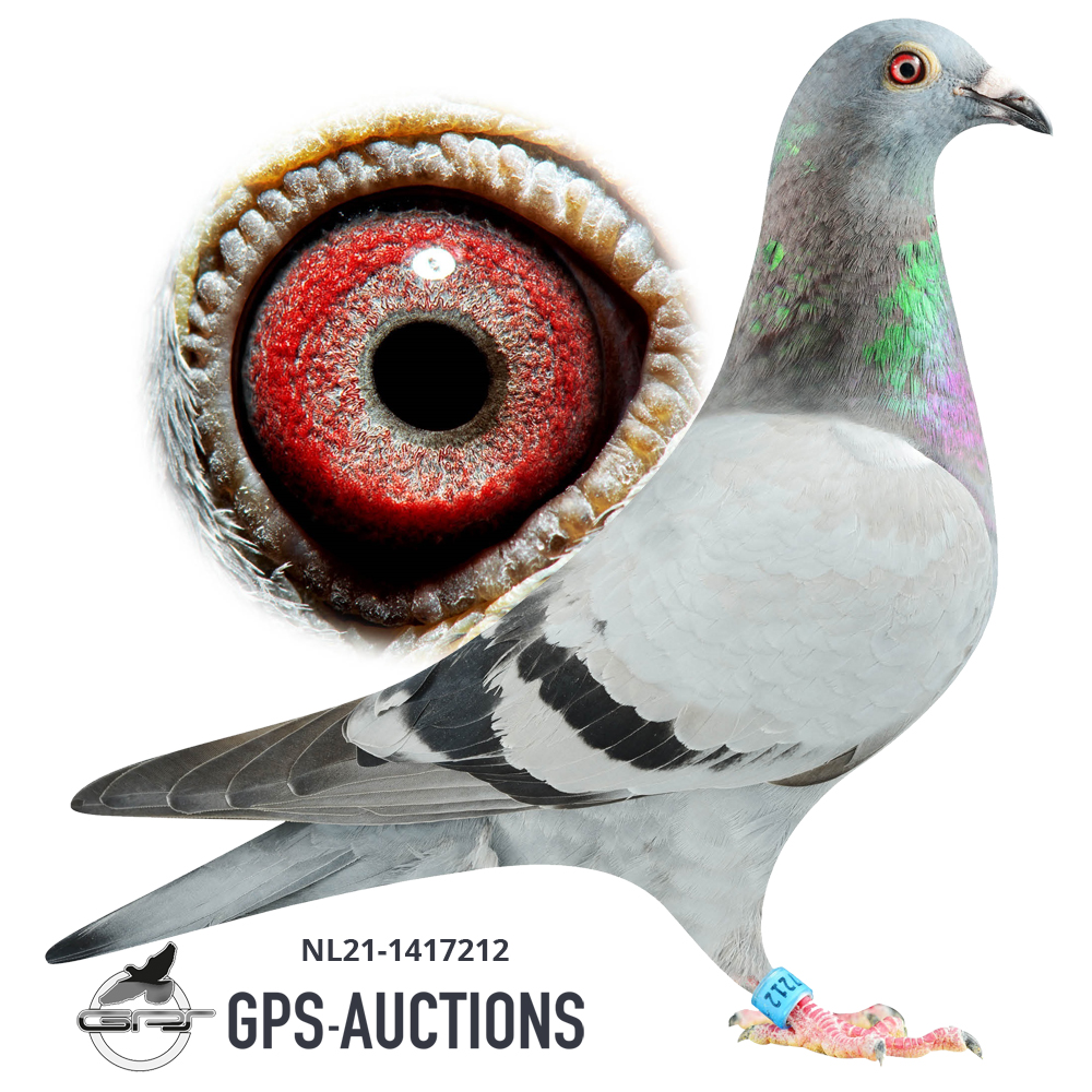 September Diamonds - GPS-Auctions