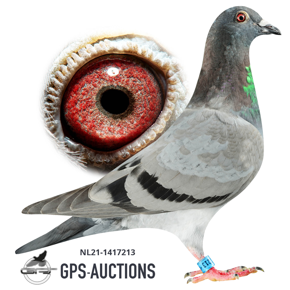 September Diamonds - GPS-Auctions