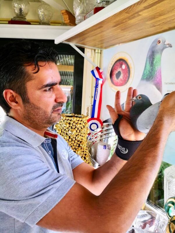 Veilingen - GPS-Auctions