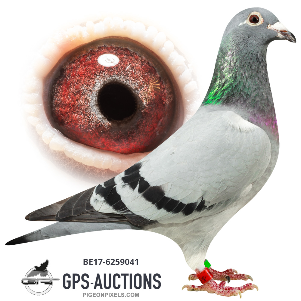 Marcel Wouters Special. - GPS-Auctions