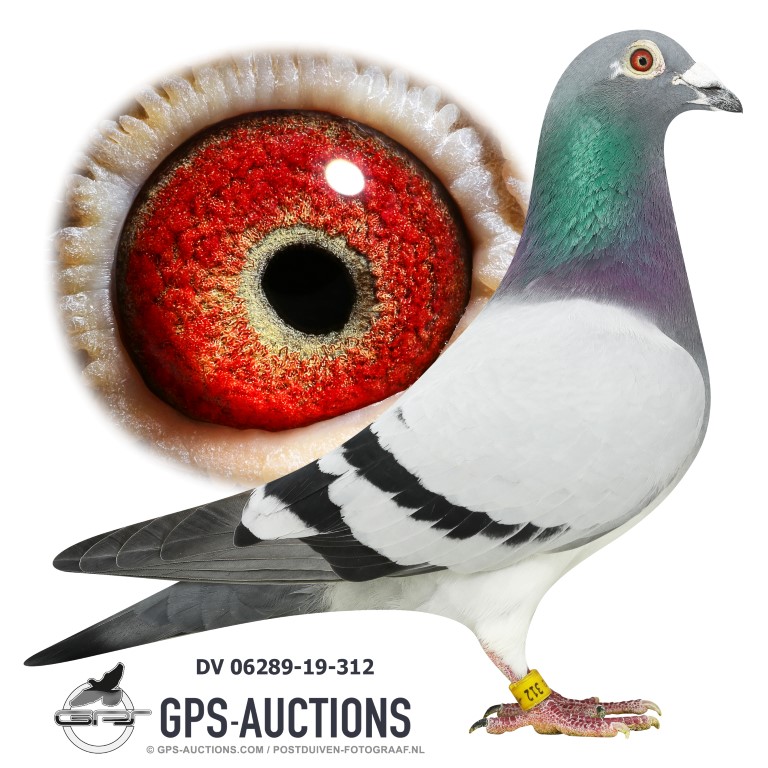 Dirk van den Bulck Collection - GPS-Auctions
