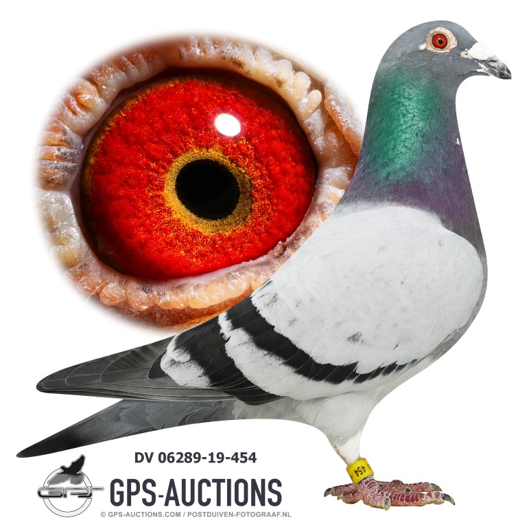 Dirk van den Bulck Collection - GPS-Auctions