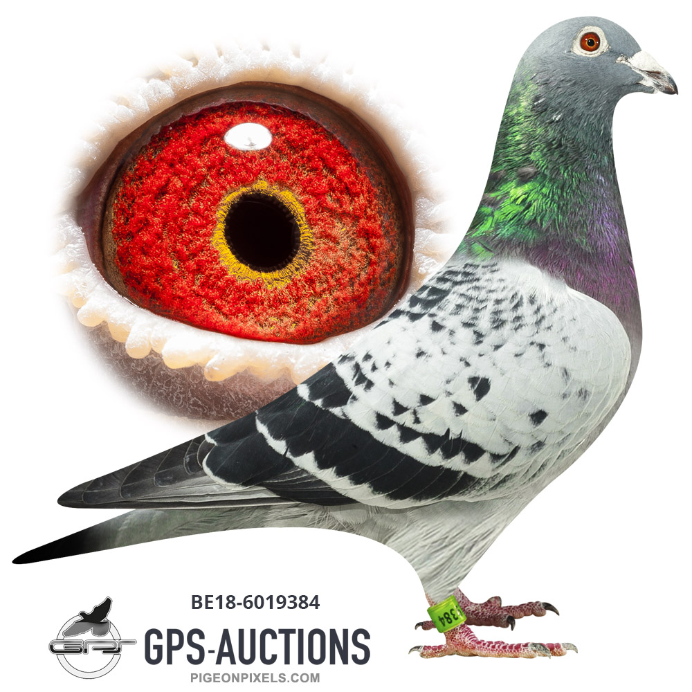 Diamonds of the Sky - GPS-Auctions