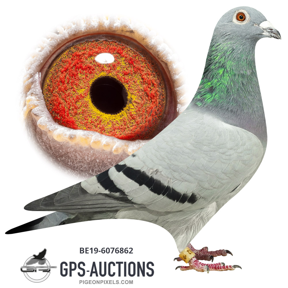 Diamonds of the Sky - GPS-Auctions