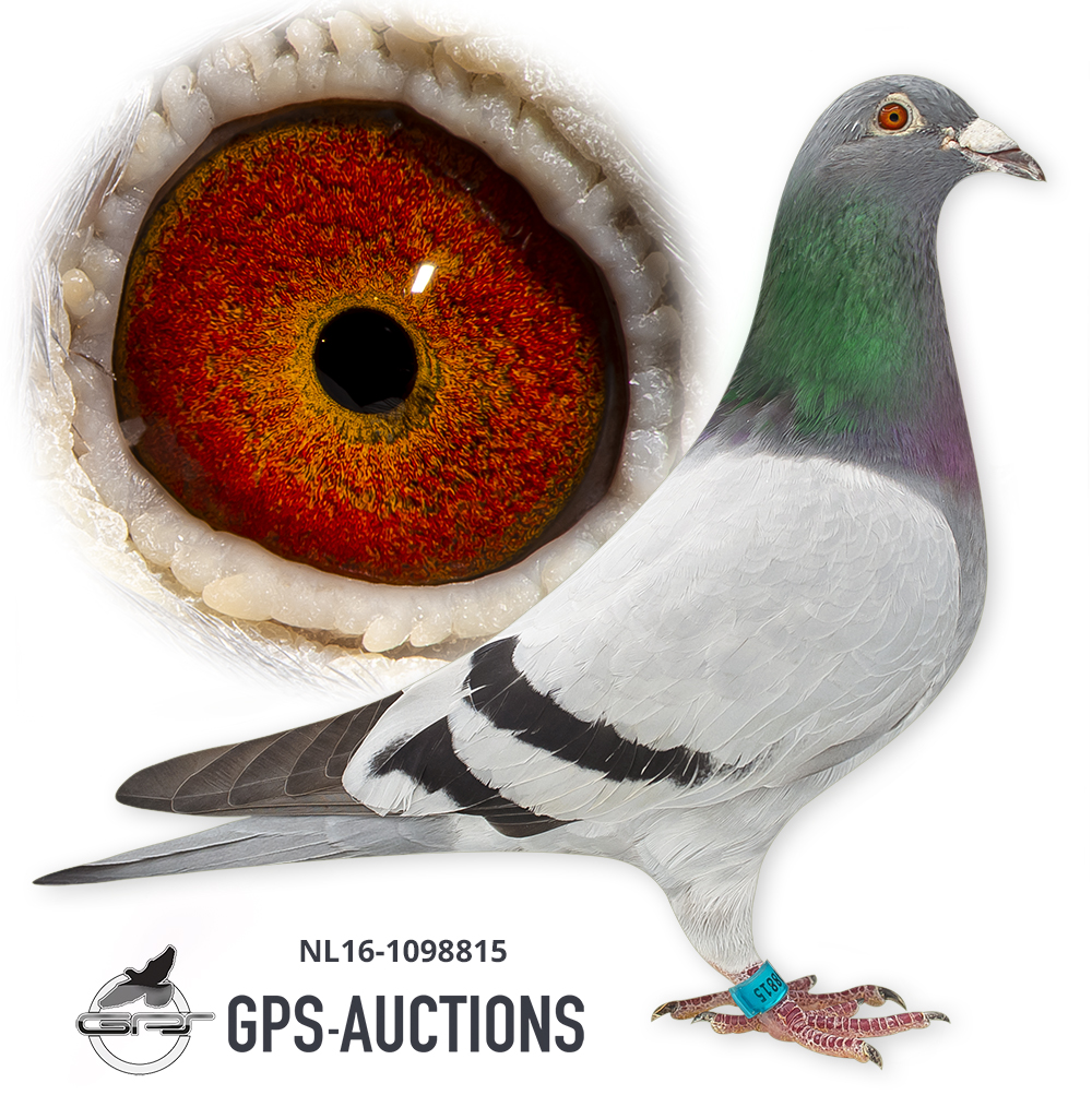 Breeders Johan de Vries - GPS-Auctions