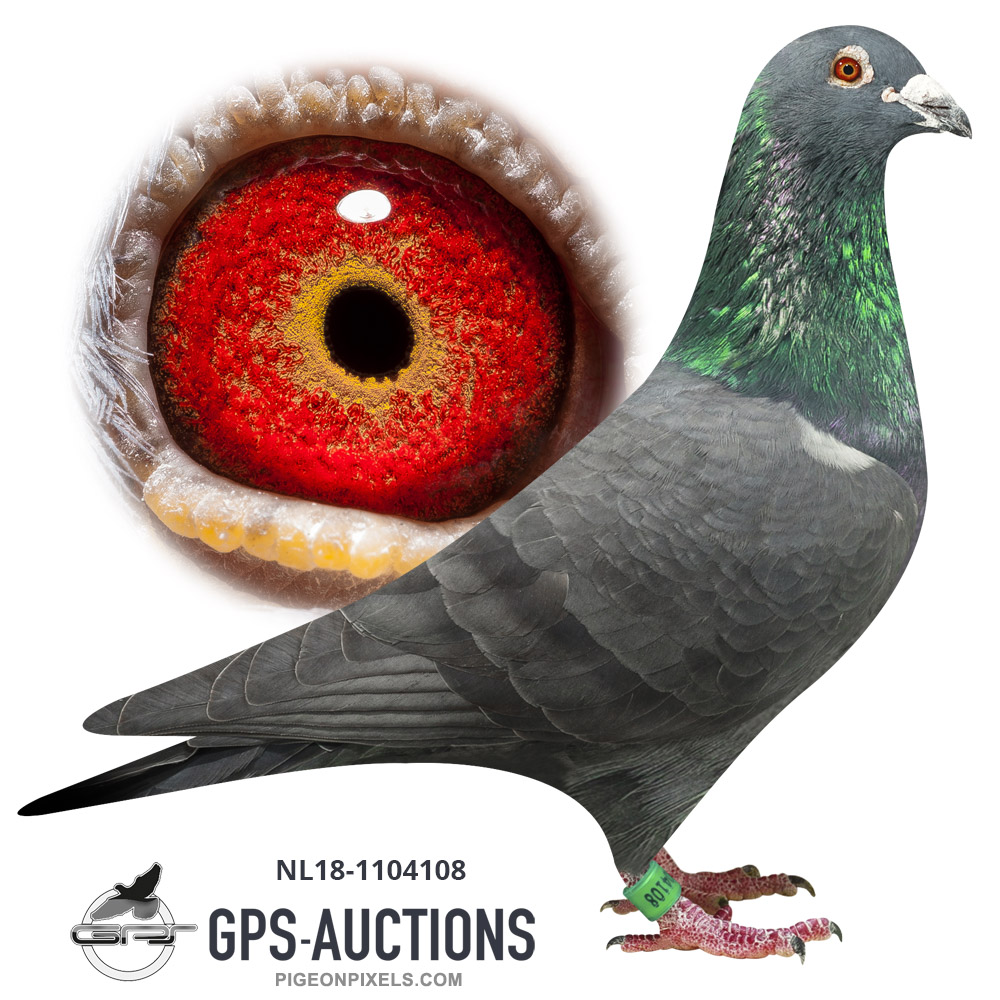 The Peter vd Merwe Special - GPS-Auctions