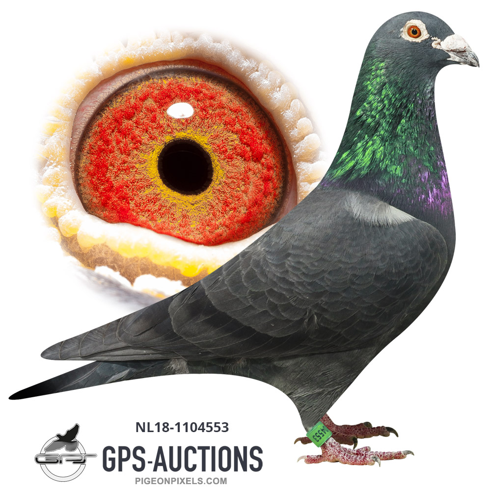 The Peter vd Merwe Special - GPS-Auctions