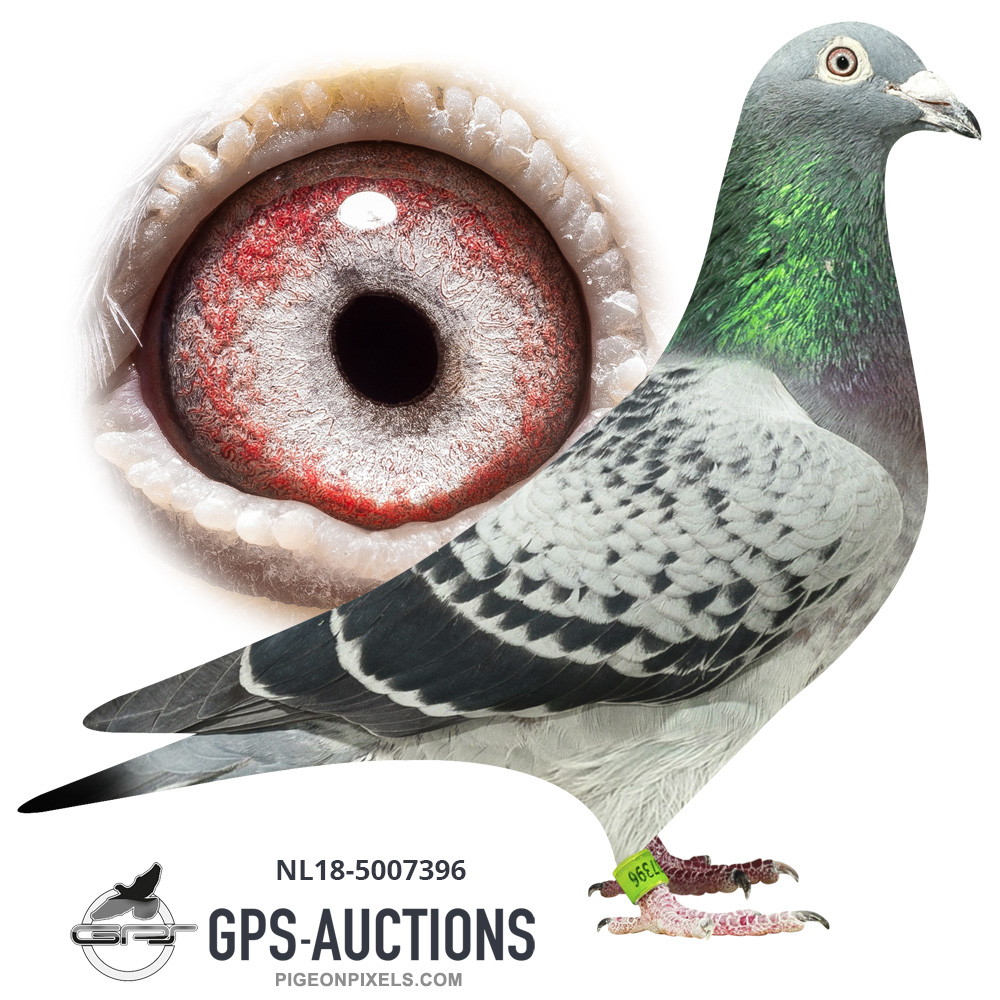 diamantes holandeses parte 1 - GPS-Auctions