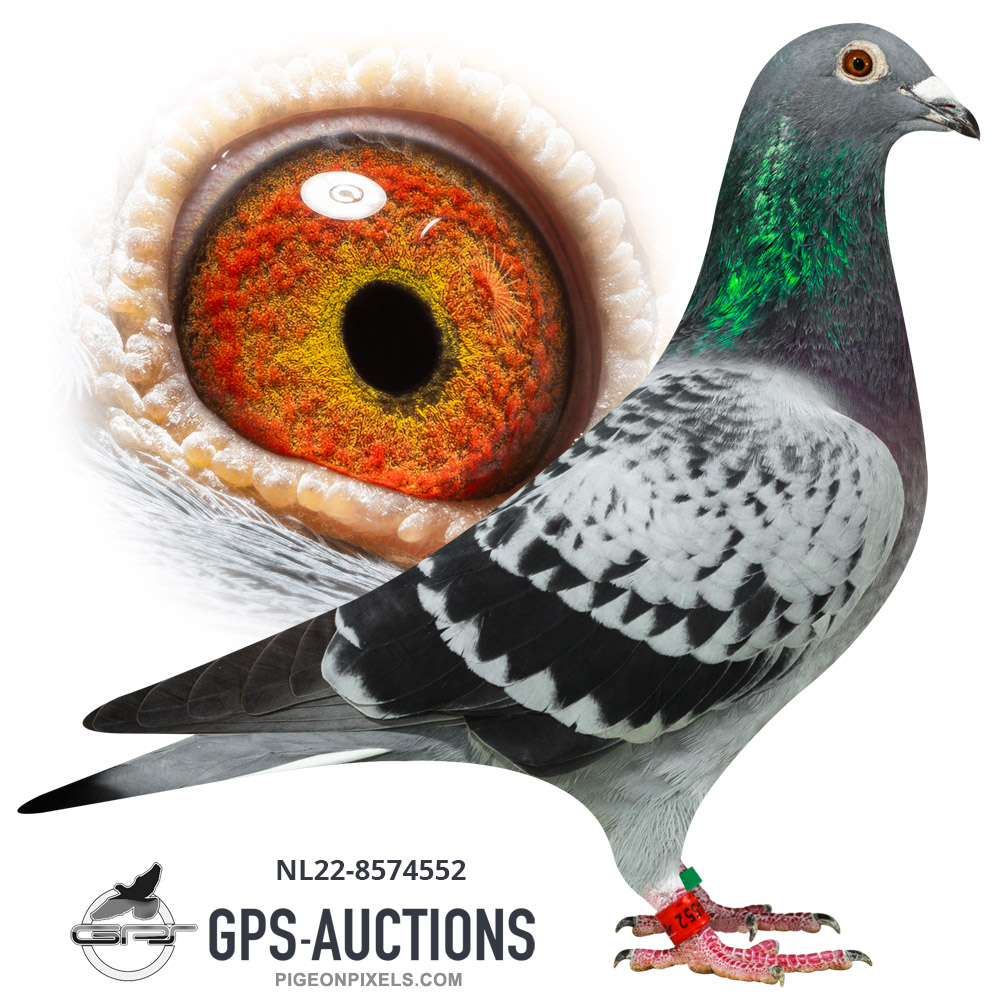 Twan Bongers Part 2 - GPS-Auctions