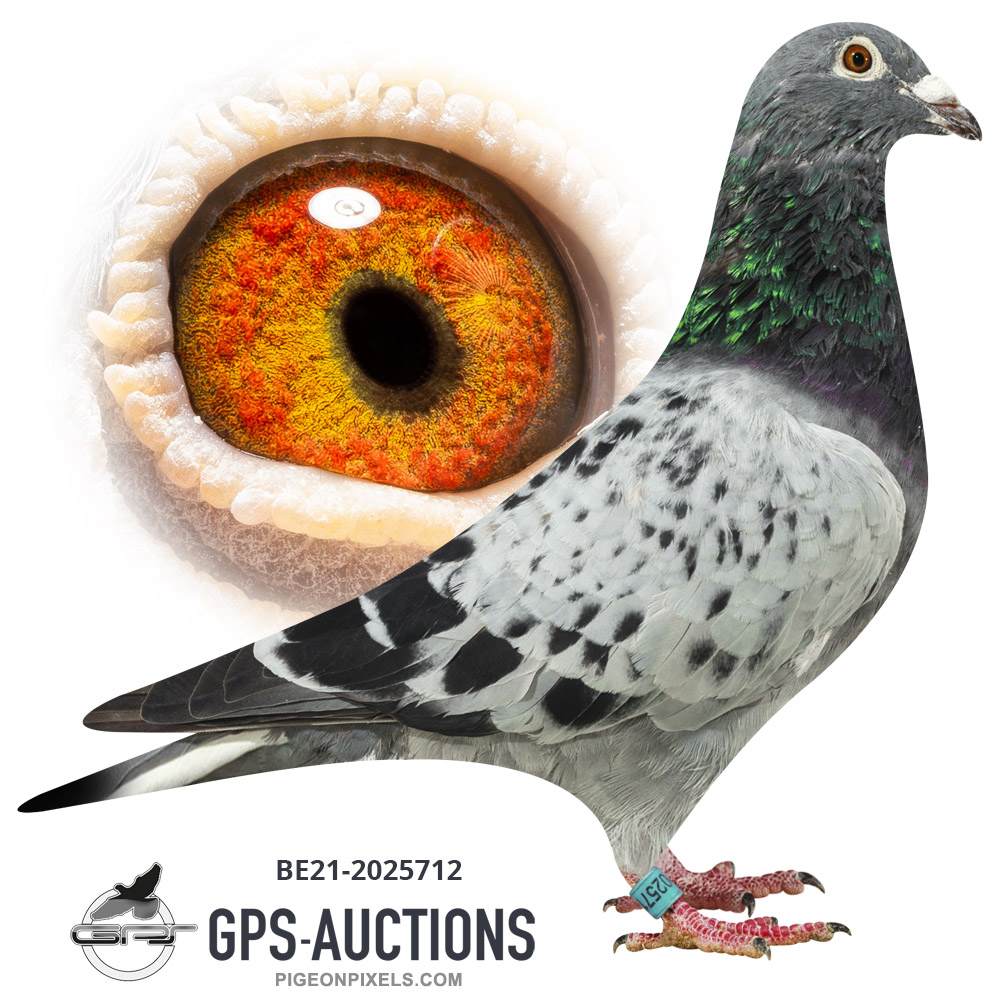 Koen van Roy Part 3 - GPS-Auctions
